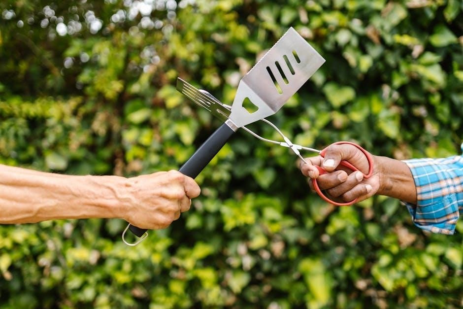 Weber Grill User Manual: Get the Most Out of Your BBQ